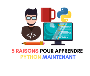 5 Raisons pour Apprendre Python Maintenant - BrightCape